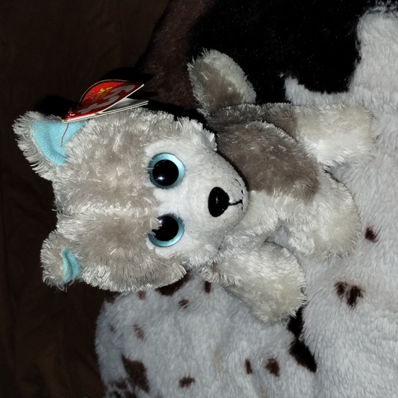 Ty | Toys | Ty Beanie Babies Sledder Husky Dog | Poshmark